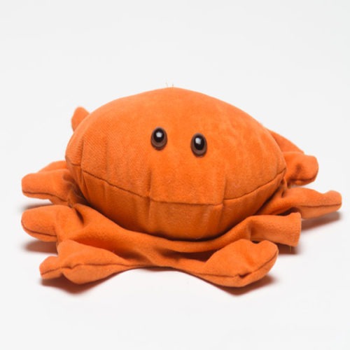 Cube Crab Puppet | Tim Gard - Funny Keynote Speaker